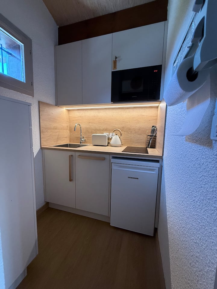 Face Au Mont Blanc
Appartement 2 à 4 Personnes - Combloux