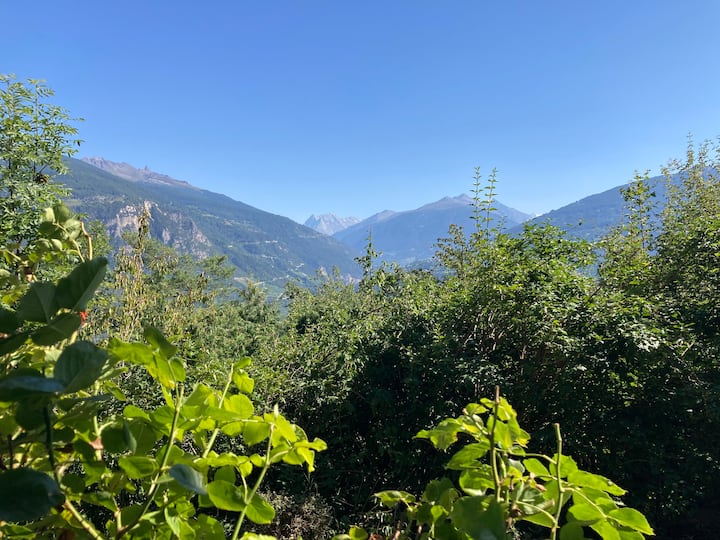 Appartement - Havre De Paix - - Nendaz