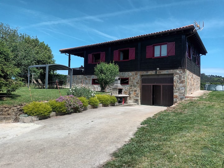 Olivar 51 - Villaviciosa