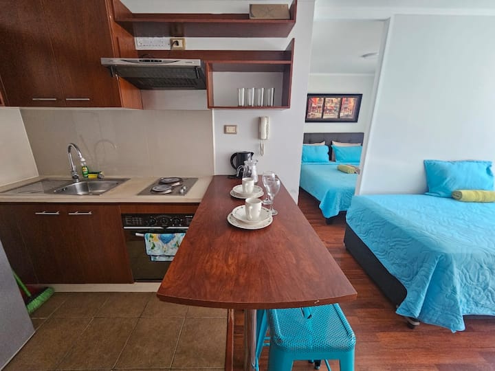 Dpto. Para 4 Metro Moneda - Santiago