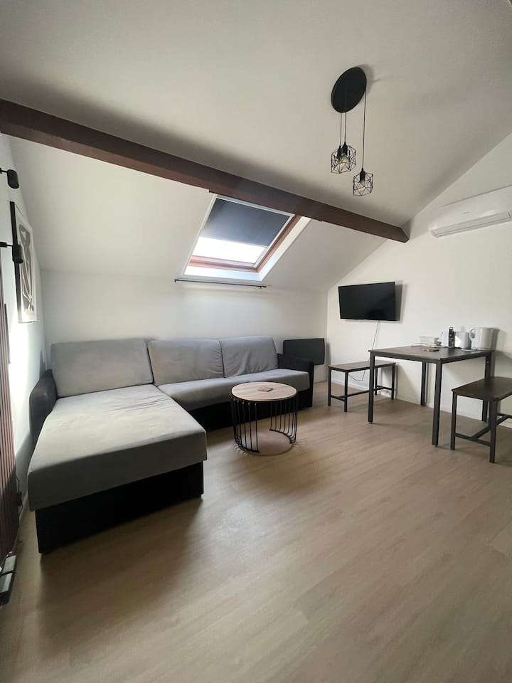 Grand Appartement 2p à Arcueil - Châtillon