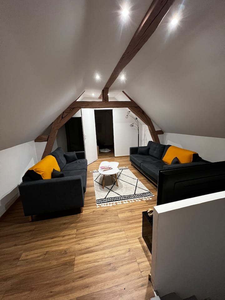 Loft Cosy Entre Zoo Et Châteaux - Montrichard