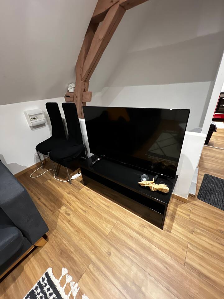 Loft Cosy Entre Zoo Et Châteaux - Montrichard