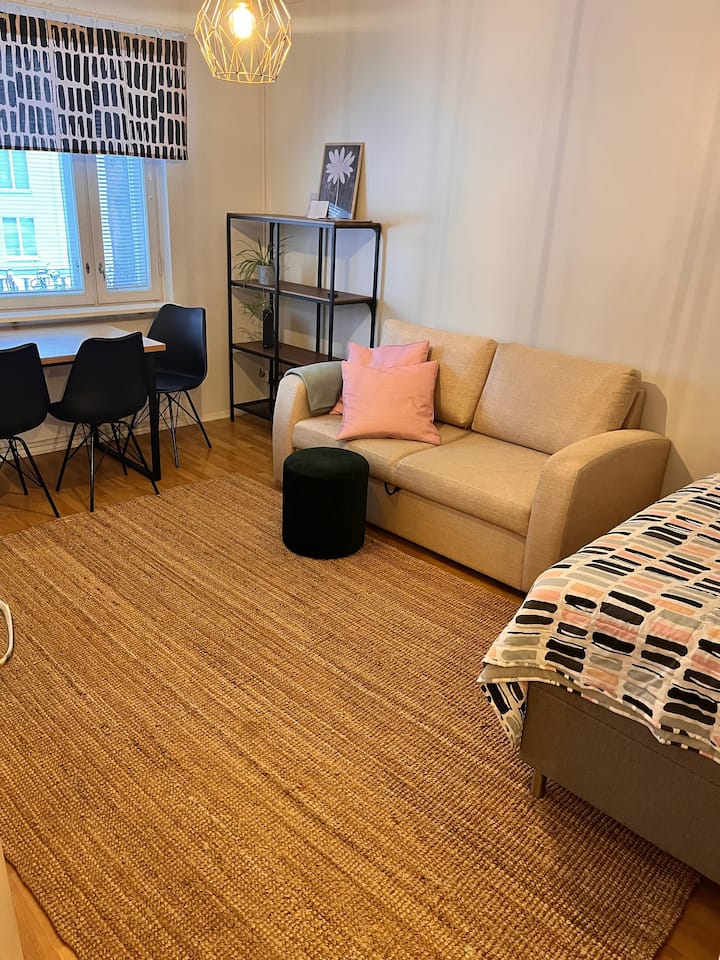 Yksiö Joensuussa - Joensuu