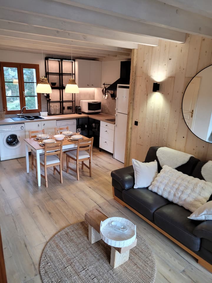 Le Flocon D'aure Appartement 4 à 6 Couchages / 2ch - Arreau