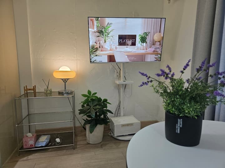 #7 신규숙소오픈 반월당,현대백화점,종로,교동 스테이소담 - Daegu