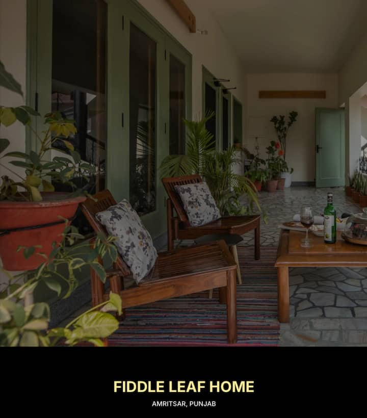 Welcome To Fiddle Leaf Home - Amritsar