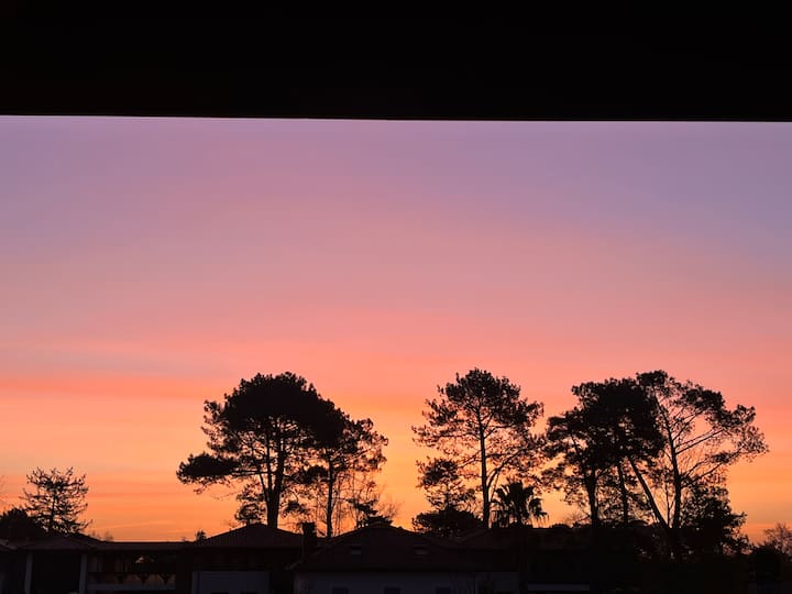 Au Cœur De Seignosse Bourg - Tosse