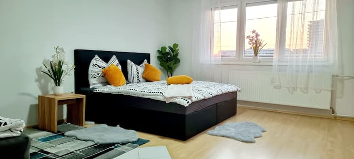 Zentrale Wohnung In Linz - Linz