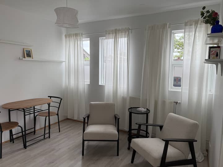 Bright One Bedroom Apartment - 冰島