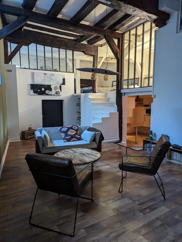 Loft De Caractère Hypercentre - Orléans