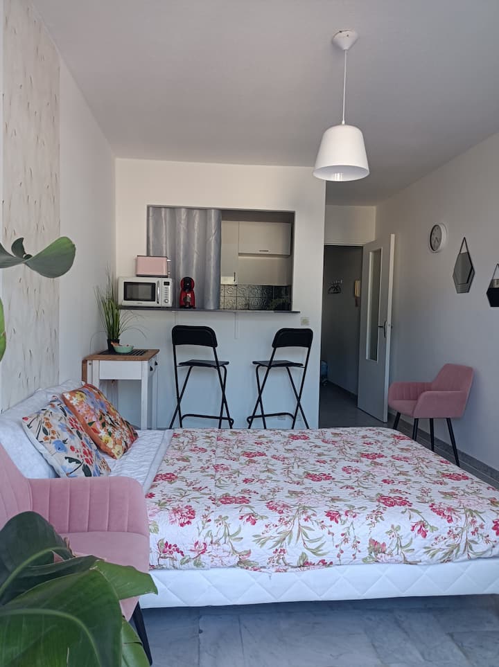 Studio Lumineux Avec Terrasse - Nice