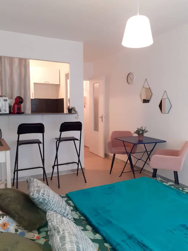 Studio Lumineux Avec Terrasse - Nizza