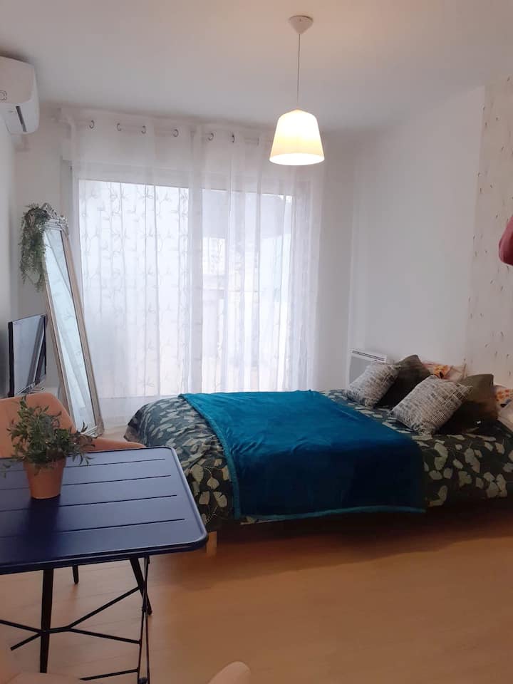 Studio Lumineux Avec Terrasse - Nice