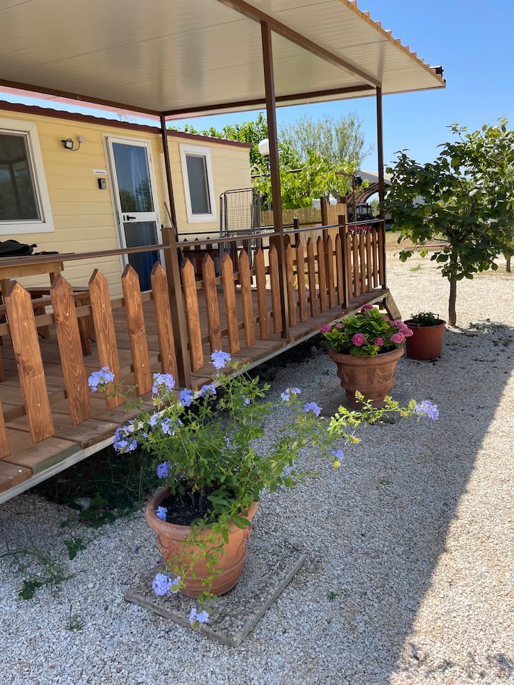 Mobilhouse Scirocco - Follonica