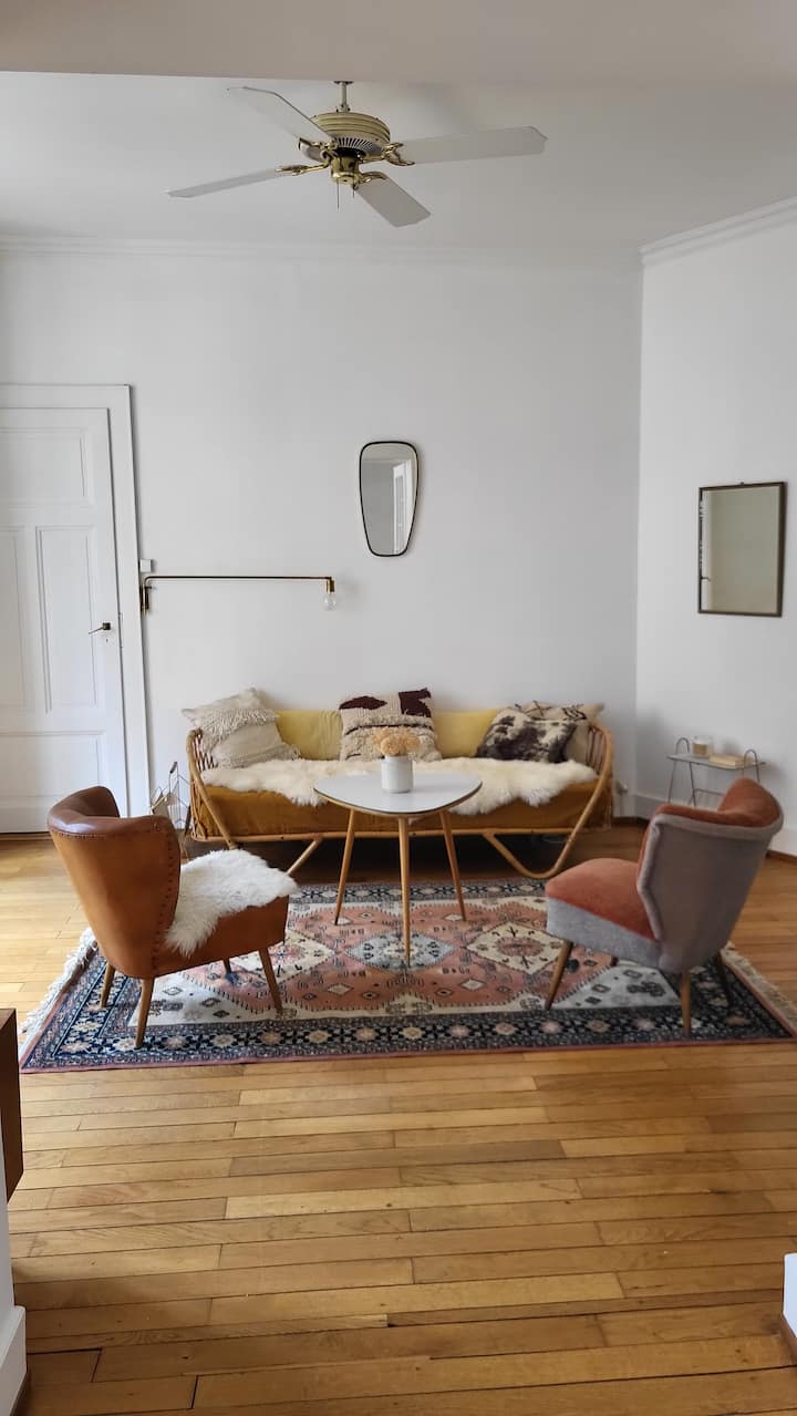 Magnifique Appartement Ancien - Annemasse