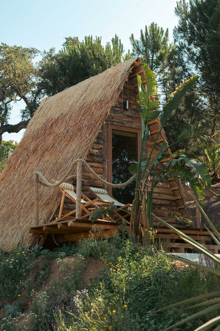 Ocean Pine - Saint-Tropez
