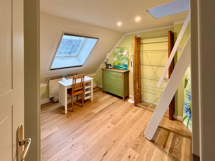 Frisch Saniert: Apartment Auf 2 Ebenen Bei Bhf/uni - Friedberg