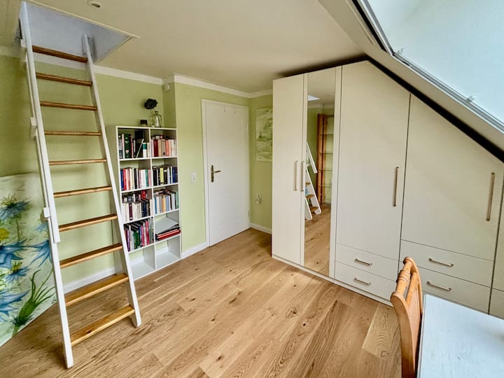 Saniert: Dg-apartment Auf 2 Ebenen B. Bhf/uni - Friedberg
