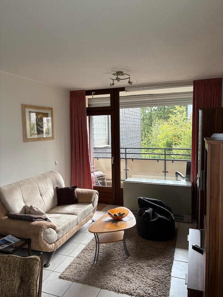 Francis Appartement Am Mountainbike Park - Winterberg