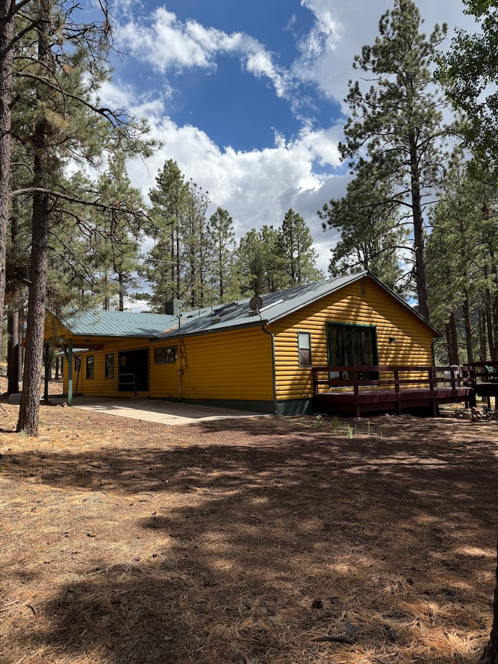 “Scout’s House” Cabin On 2 Acres - Greer, AZ