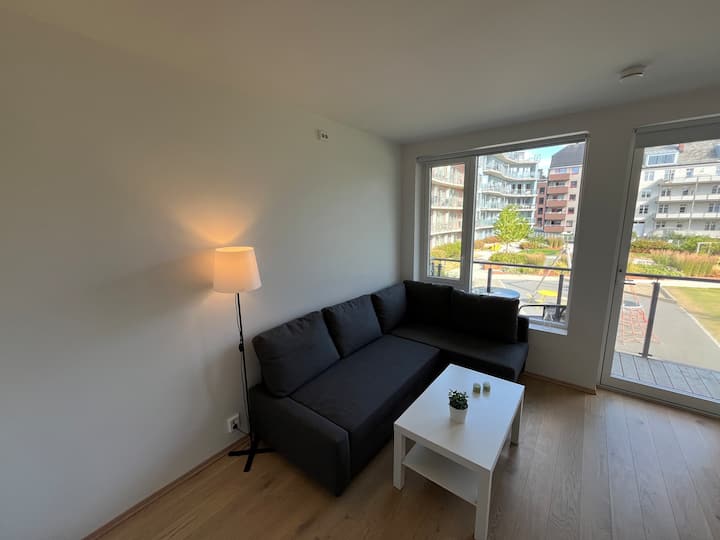 Delikat 1-roms Leilighet - Trondheim