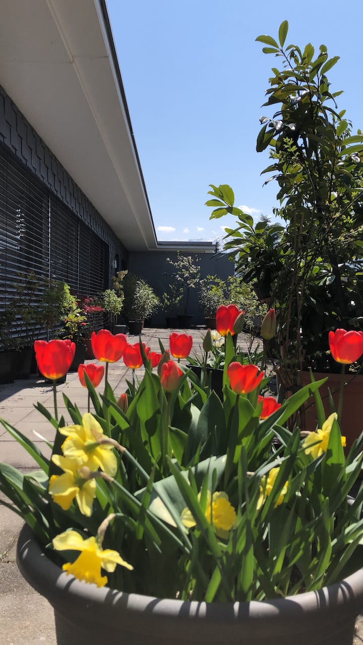 Steve’s - Dornbirn