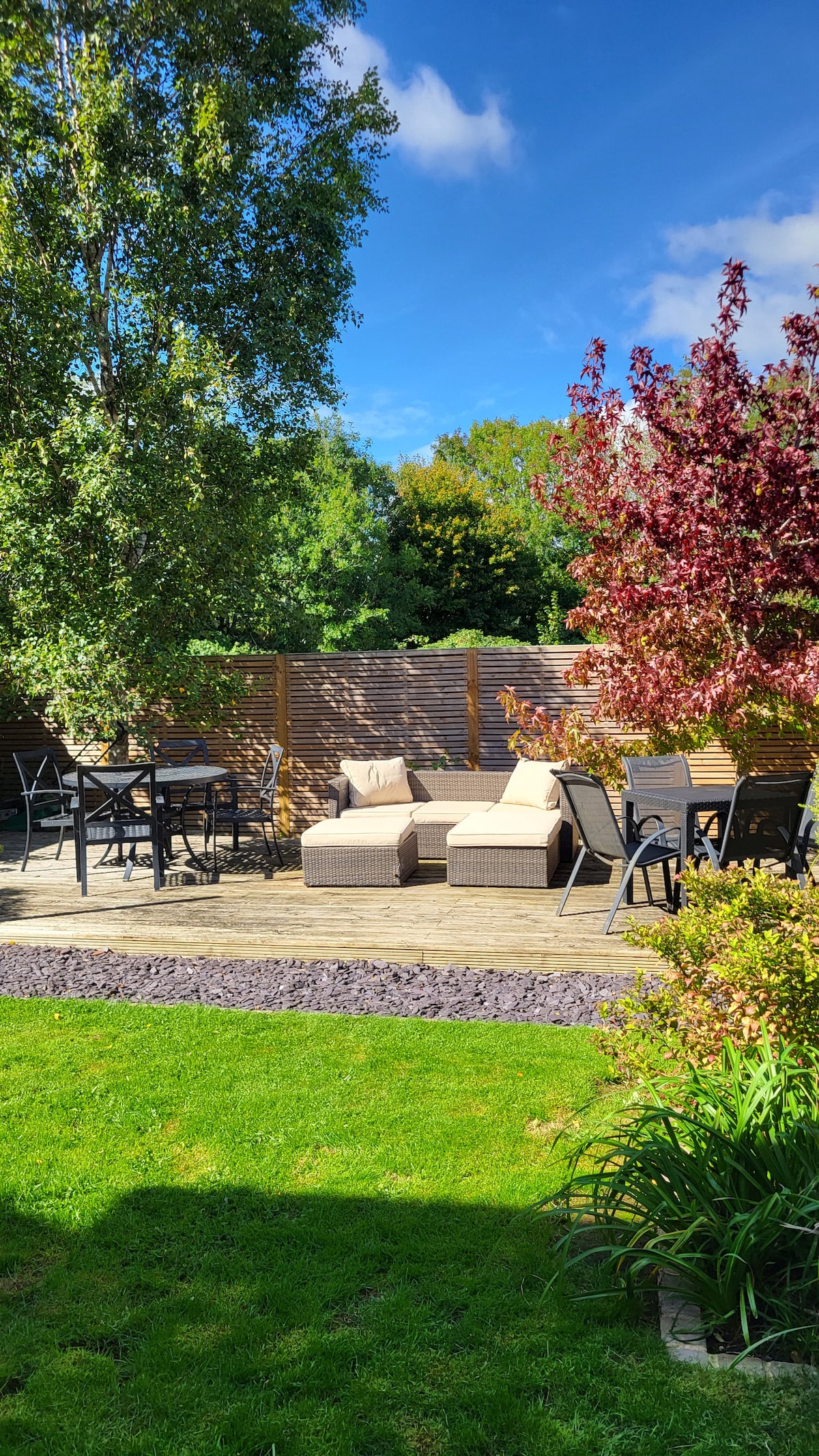 Studio Birch - confortable, moderne, calme et confortable ...