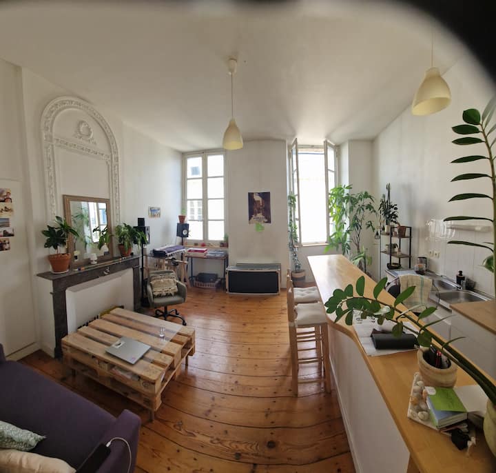 Appartement Lumineux Dans Le Plus Beau Quartier - Bordeaux