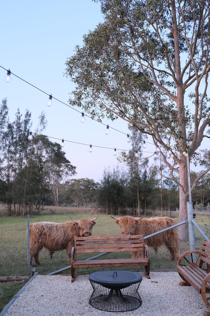 Farm Stay With Highland Cows Hunter Valley Retreat - Pokolbin