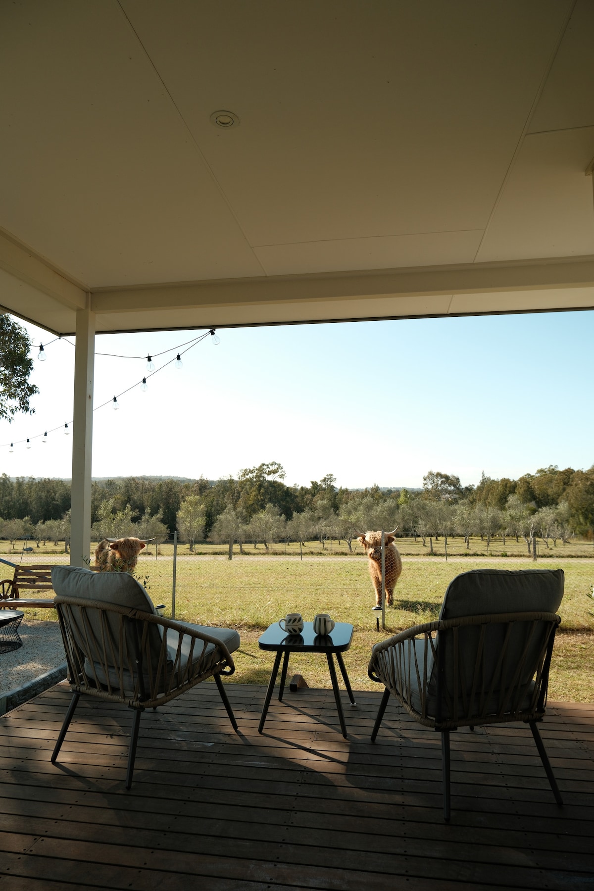 Farm stay with Highland Cows Hunter Valley Retreat - Houses for Rent in ...