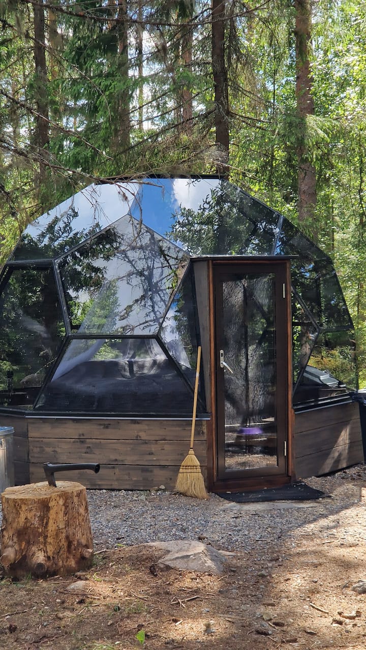 Lasi-iglu Metsässä - Mikkeli