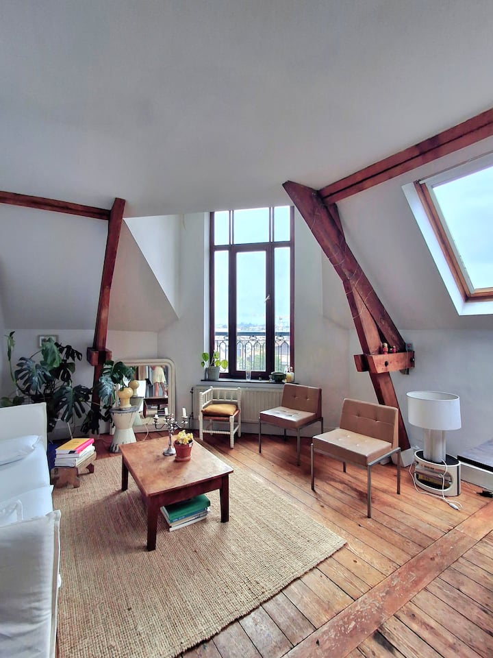 Appartement De Charme - Vilvoorde