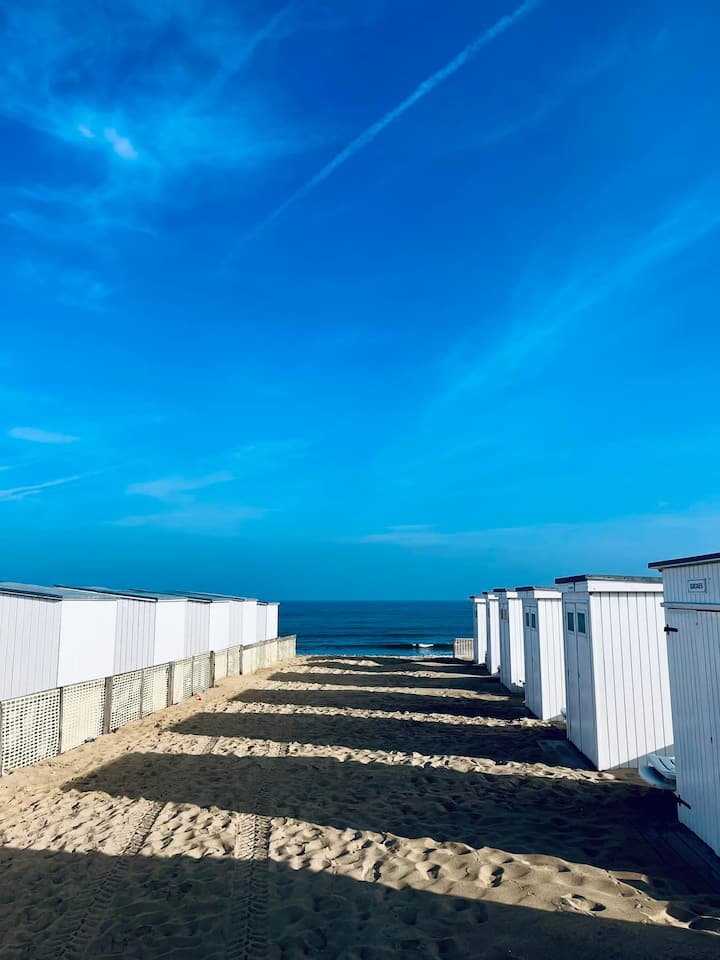 Appartement Hyper-centre - Knokke-Heist