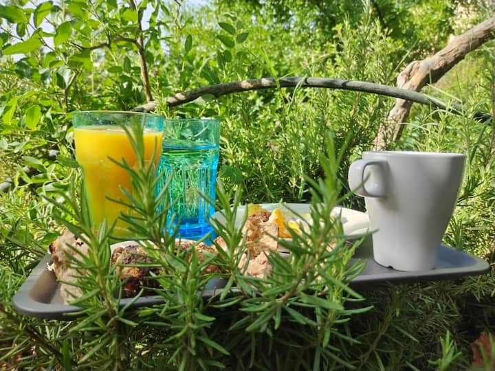 Eco Stay With Organic Garden Oasis - Tazaa