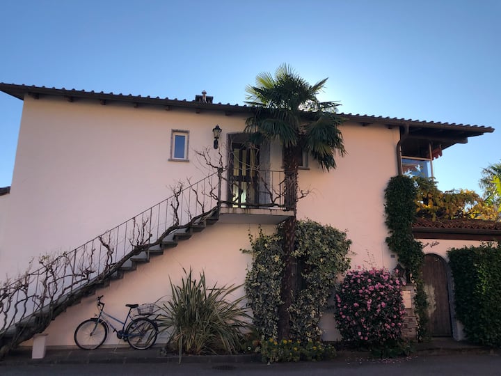 Ein Kleines, Sonniges Paradies. - Ronco sopra Ascona