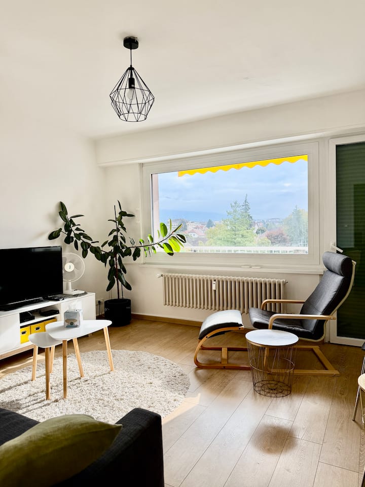 Le Citadin | Spacieux Et Lumineux | Proche Gare - Annemasse