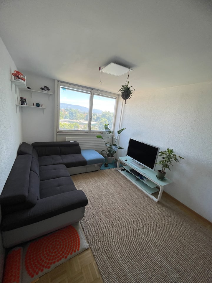 Apparemment Individuel - Genève