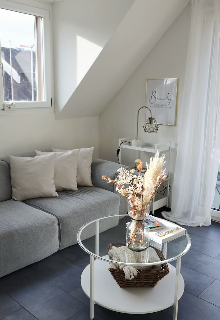 Renoviert, Nah Bei Zürich, Rebbergblick & Parking - Switzerland