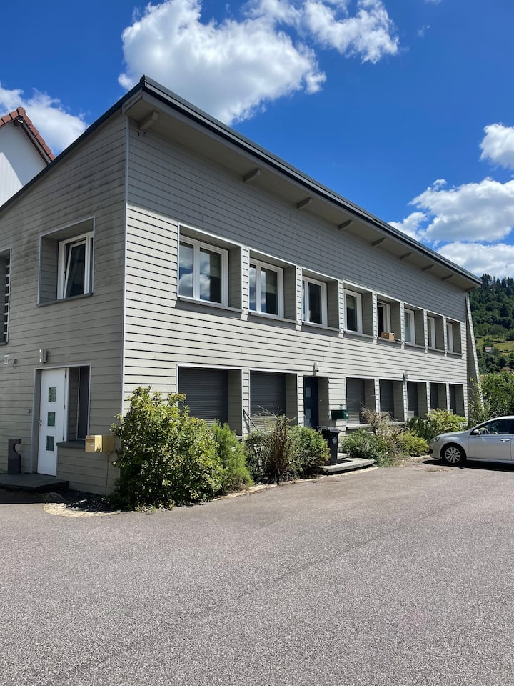 Chambre 2 Superbe, Cuisine, Salon, Partagé - Gérardmer