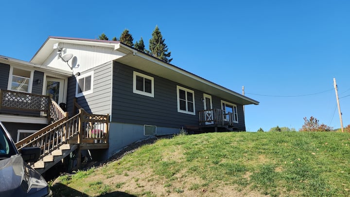 Mama Bears - Coleman State Park, Stewartstown