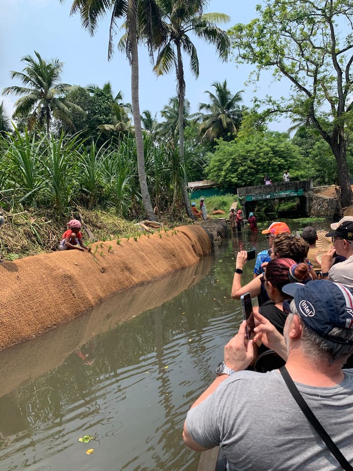 House Of Ayurveda - Vaikom