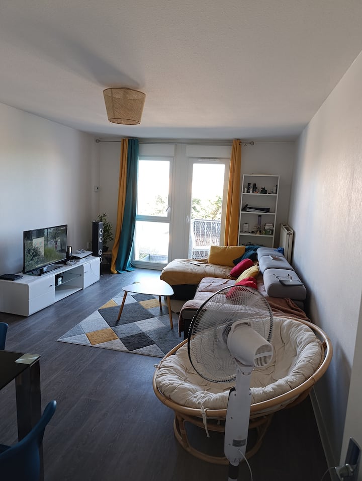 Appartement T2 - Blagnac