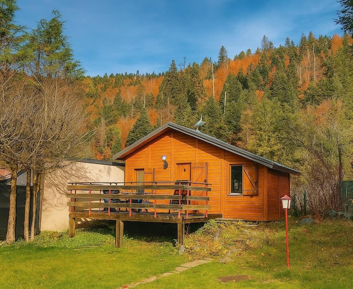 Chalet Lodge - O'bord De L'eau, Cocon Hivernal - Lac de Longemer