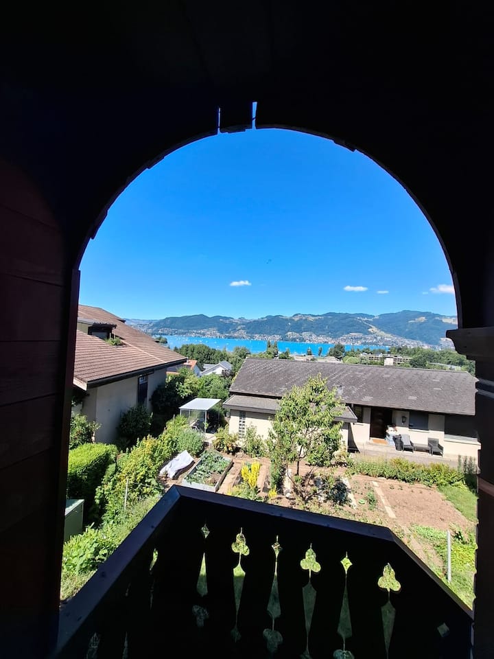 Charmantes Mini Chalet Mit See Und Alpenblick - Thun