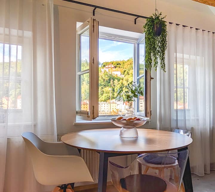 Loft· Donau Vor Den Fenstern, Altstadt Vor Der Tür - Passau