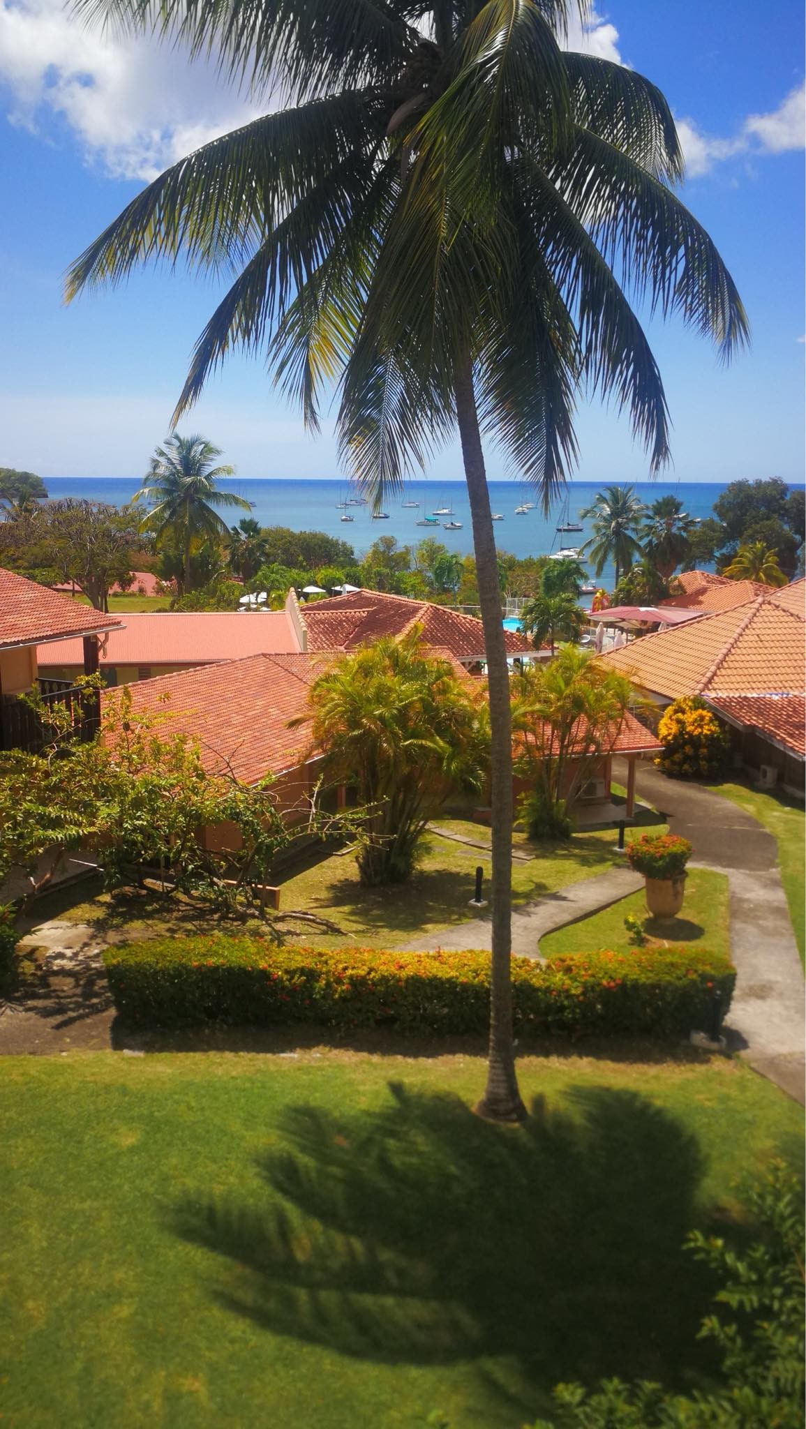 Studio - Apartments for Rent in Sainte-Anne, Le Marin, Martinique - Airbnb