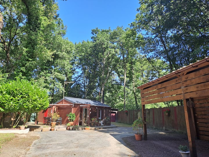 Chalet Forestôchat - Miniac-Morvan