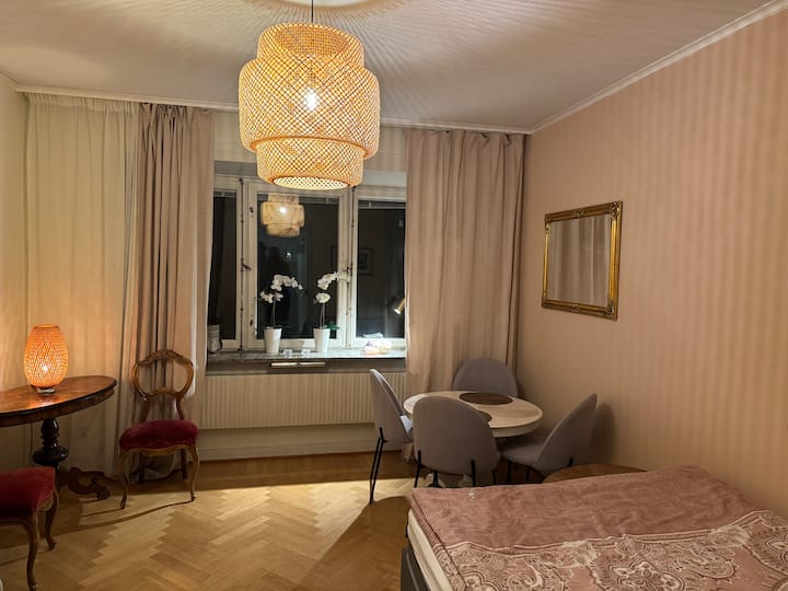 Studio Lägenhet Vid Mariatorget - Stockholm