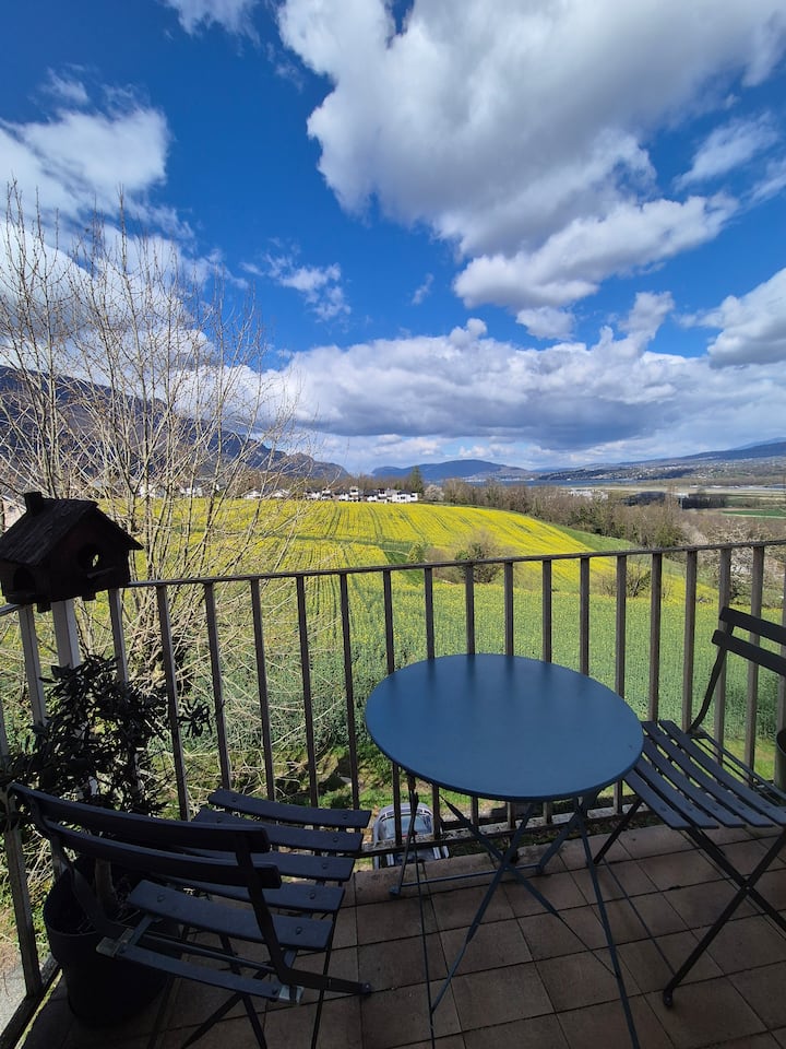 Duplex T2 Dernier éTage Avec Vue Lac - La Motte-Servolex